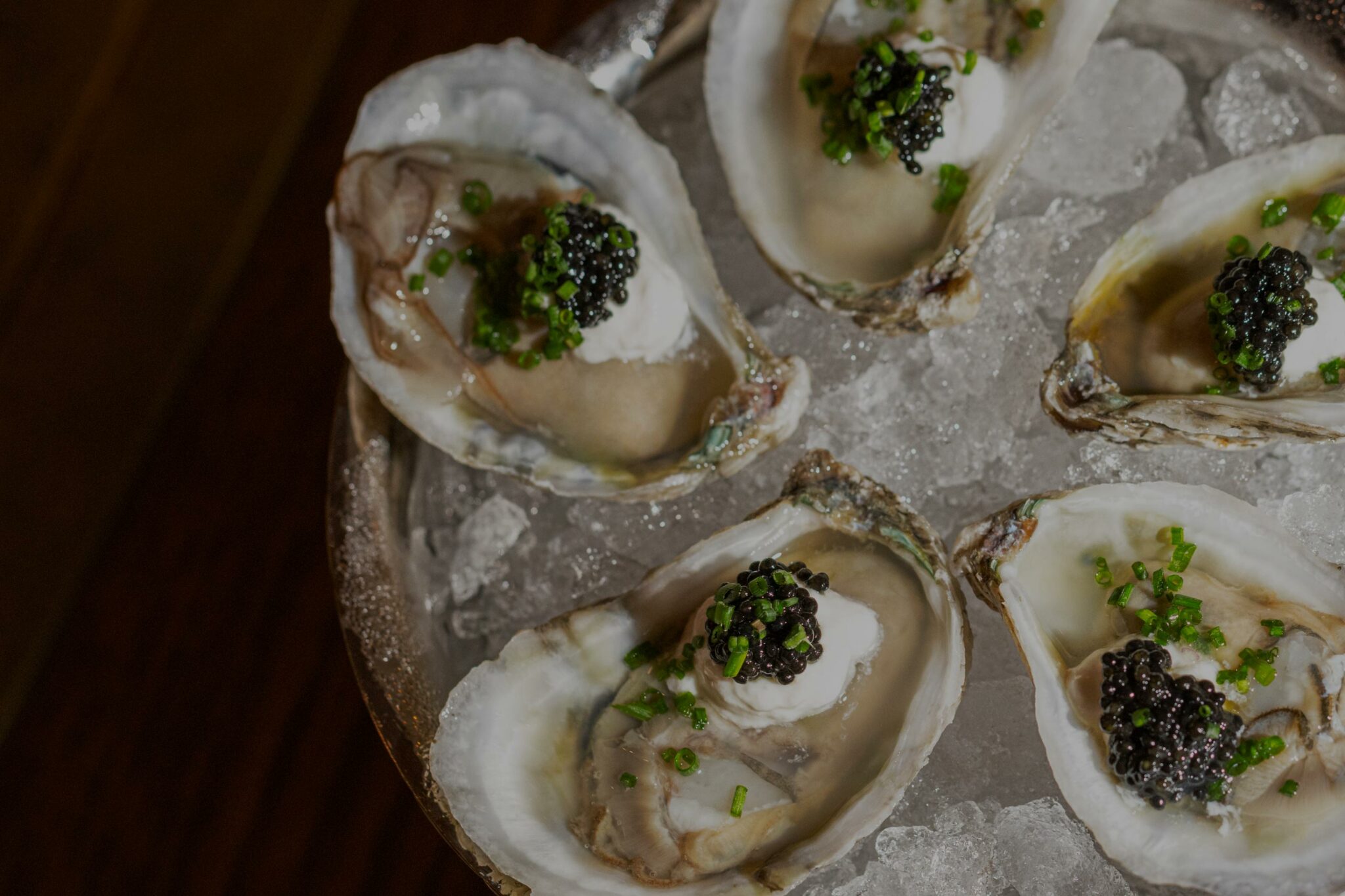 Home | Green Point Seafood & Oyster Bar